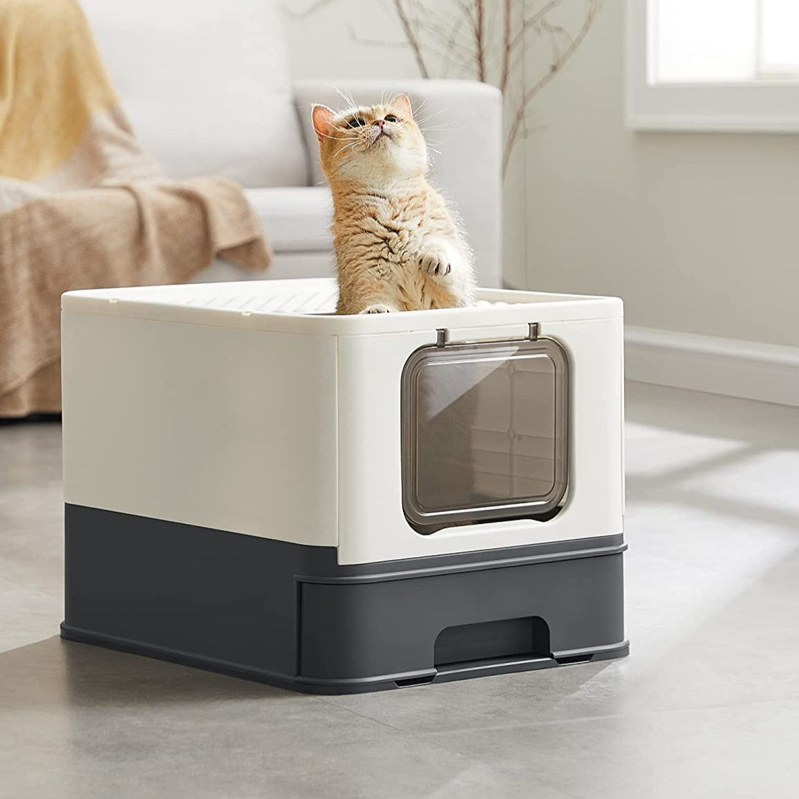 Kattebakke, toilethus, aftagelig bakke, skovl, børste, til store katte ...